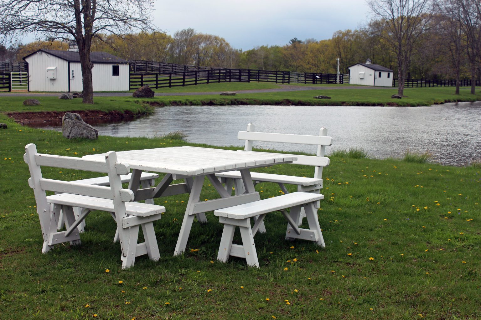 Pond & Picnic Area – Equine Advocates