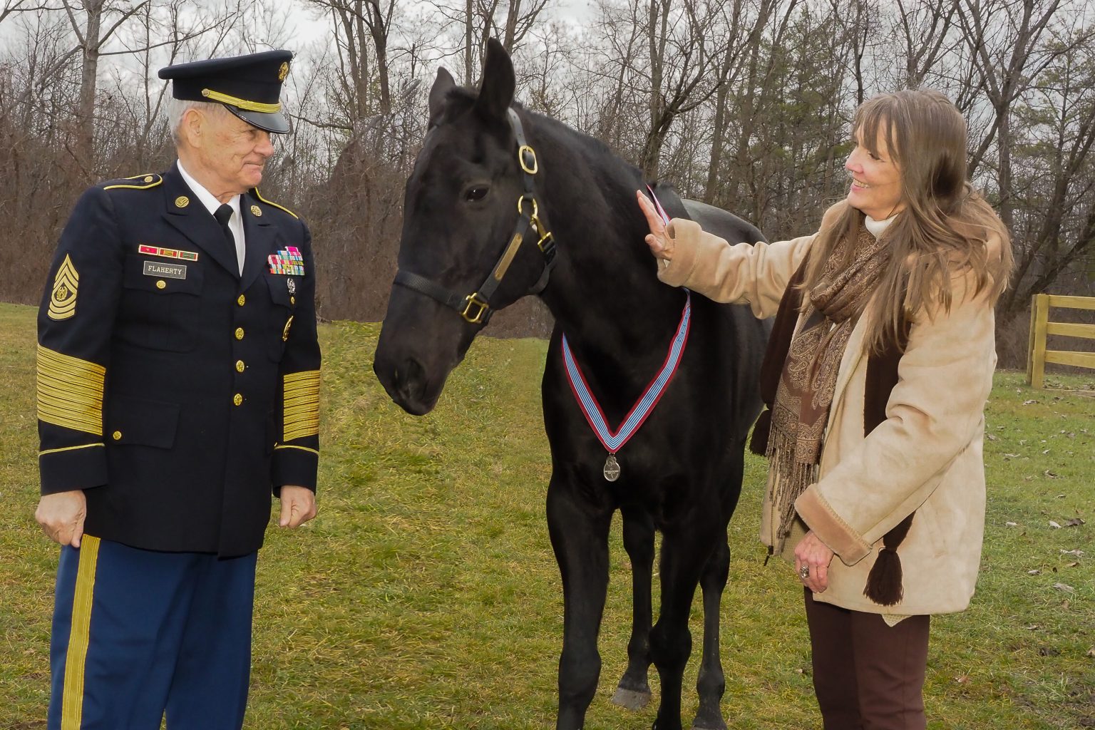In Memoriam: Sergeant York – Equine Advocates